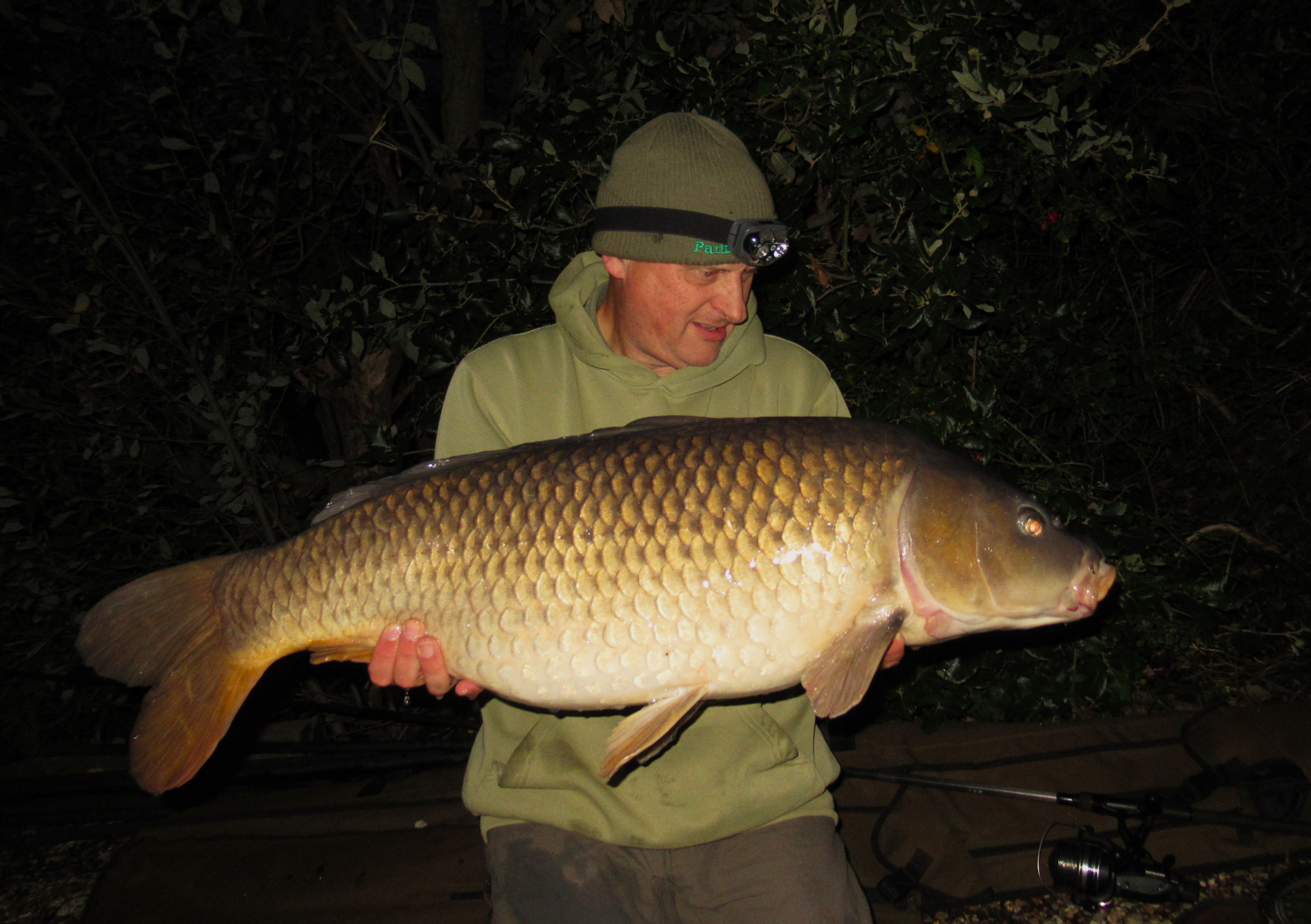 Night time Common | Total Carp